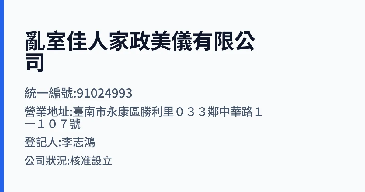 亂室佳人家政美儀有限公司 - 統編 91024993（臺南市） 公司登記資料與營業項目詳細圖表