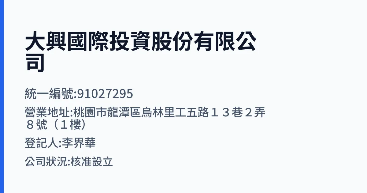 大興國際投資股份有限公司 - 統編 91027295(桃園市) 公司登記資料與營業項目詳細圖表