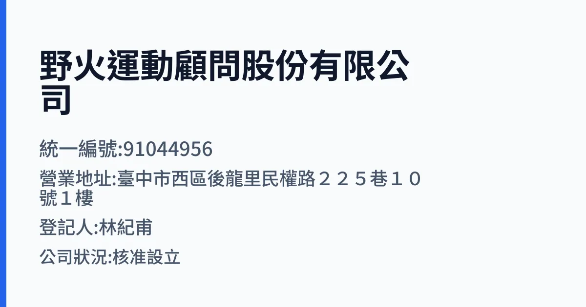 野火運動顧問股份有限公司 - 統編 91044956（臺中市） 公司登記資料與營業項目詳細圖表