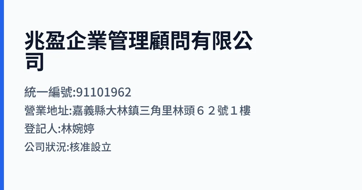 兆盈企業管理顧問有限公司 - 統編 91101962(嘉義縣) 公司登記資料與營業項目詳細圖表