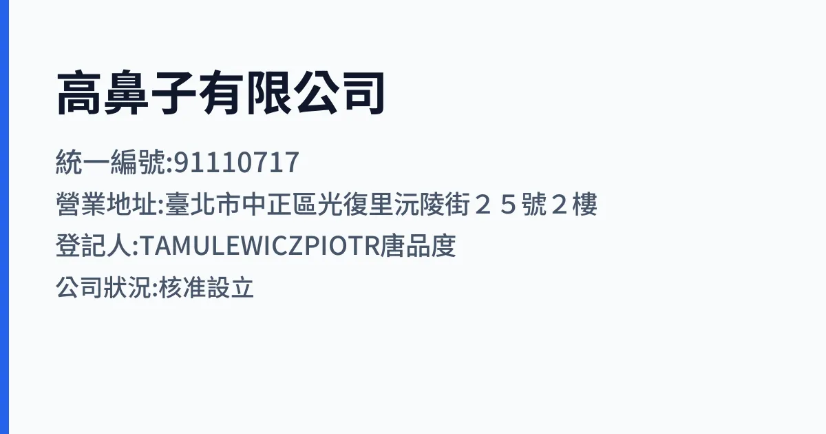 高鼻子有限公司 - 統編 91110717(臺北市) 公司登記資料與營業項目詳細圖表