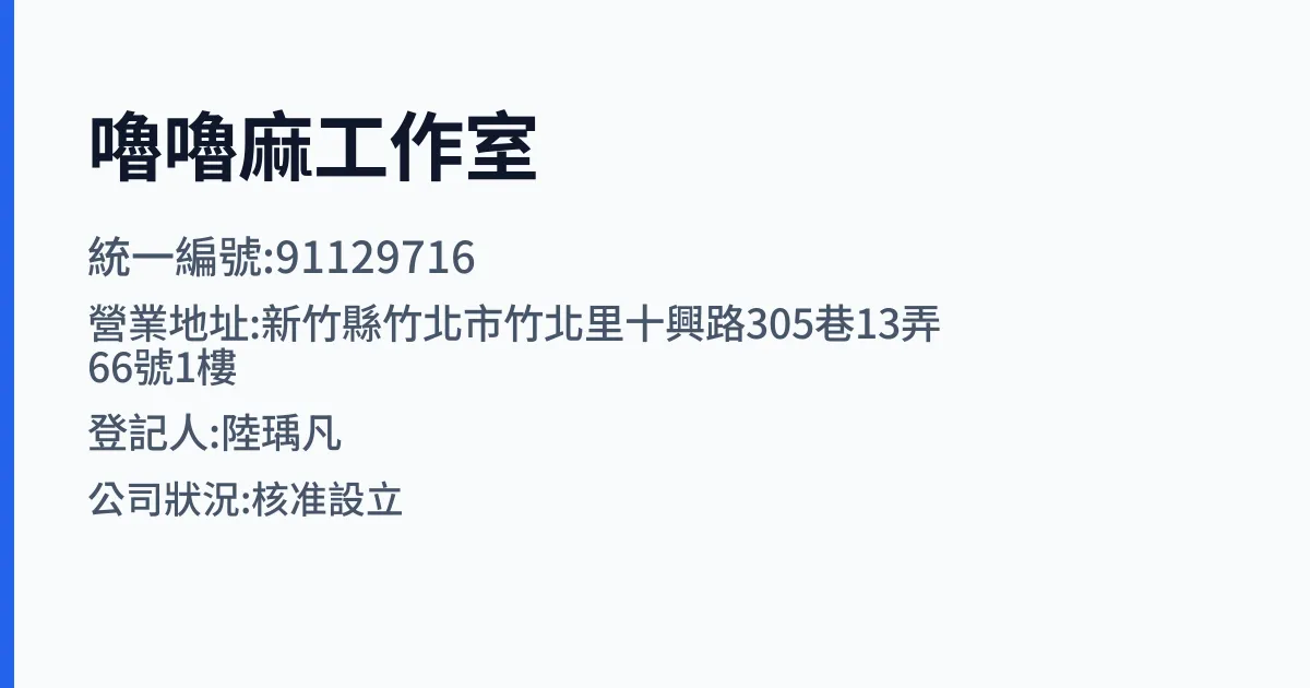 嚕嚕麻工作室 - 統編 91129716(新竹縣) 公司登記資料與營業項目詳細圖表