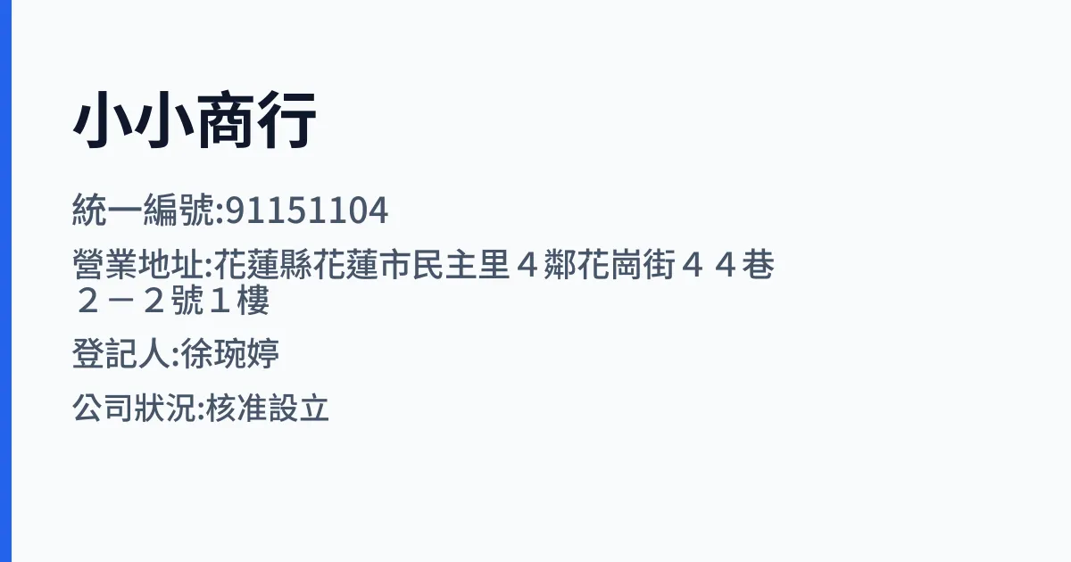 小小商行 - 統編 91151104(花蓮縣) 公司登記資料與營業項目詳細圖表