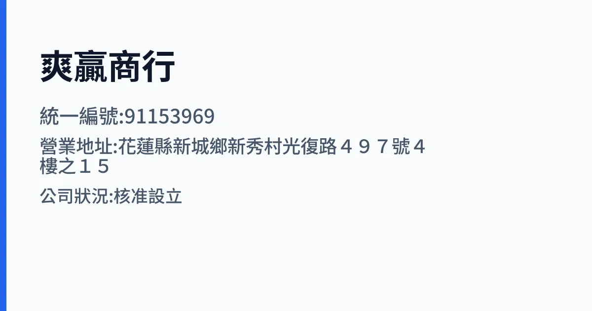 爽贏商行 - 統編 91153969(花蓮縣) 公司登記資料與營業項目詳細圖表