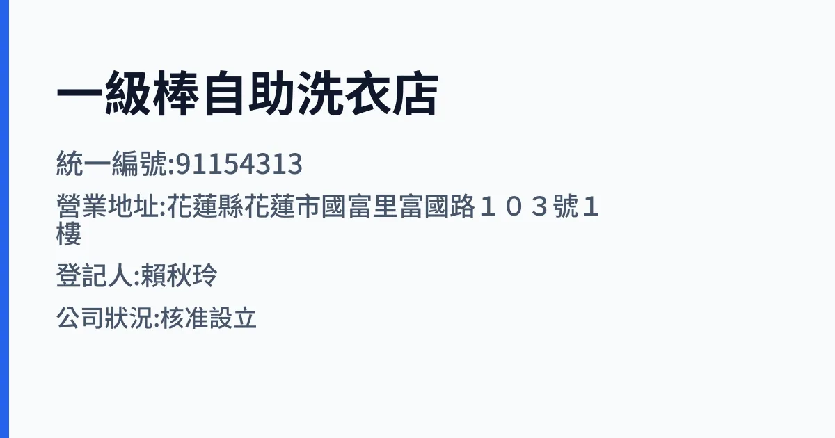 一級棒自助洗衣店 - 統編 91154313(花蓮縣) 公司登記資料與營業項目詳細圖表