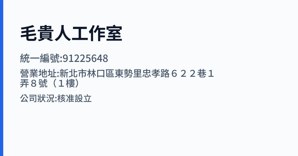毛貴人工作室 - 統編 91225648(新北市) 公司登記資料與營業項目詳細圖表