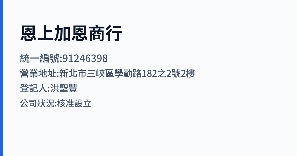 恩上加恩商行 - 統編 91246398(新北市) 公司登記資料與營業項目詳細圖表