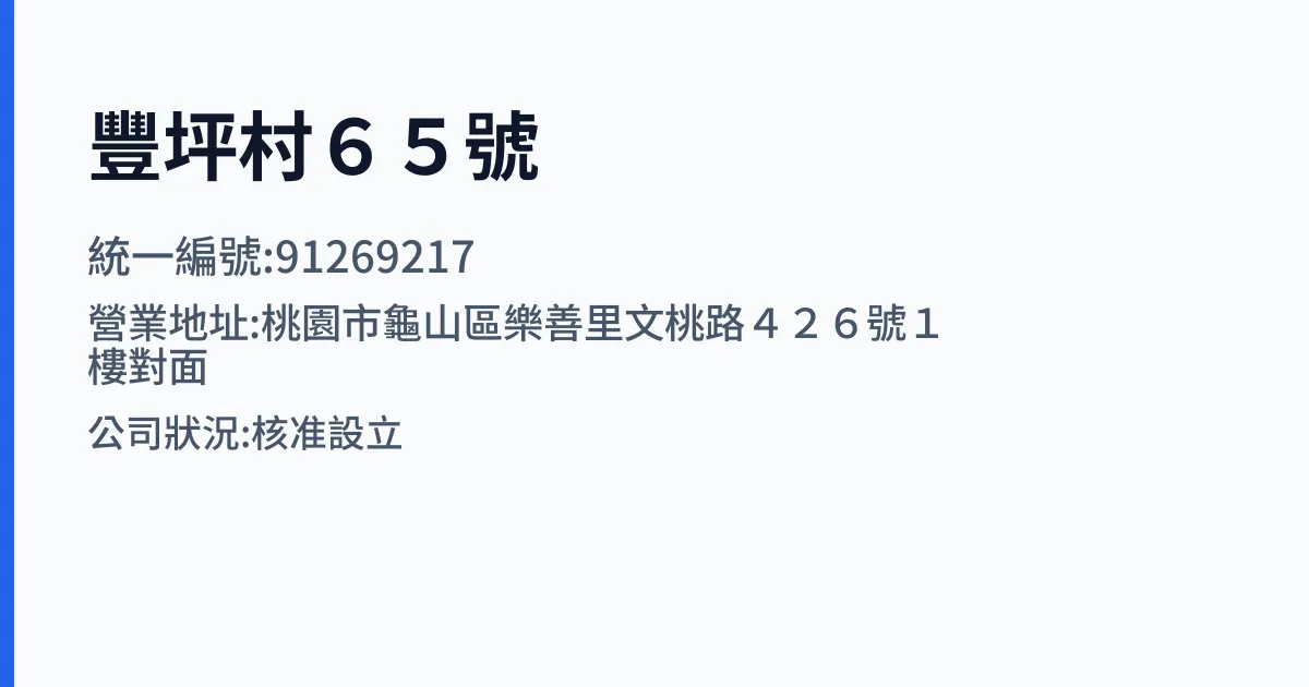 豐坪村６５號 - 統編 91269217(桃園市) 公司登記資料與營業項目詳細圖表
