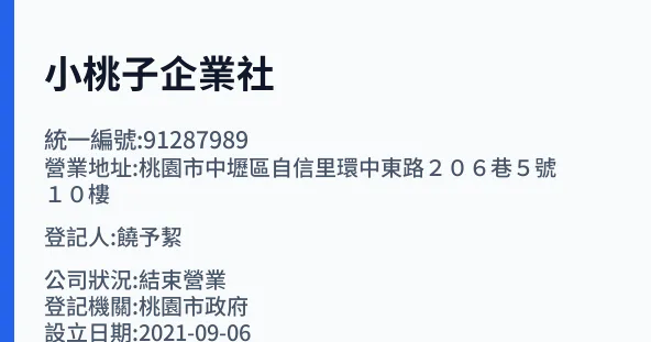 小桃子企業社的照片-統編 91287989(桃園市) 公司登記資料與營業項目詳細圖表