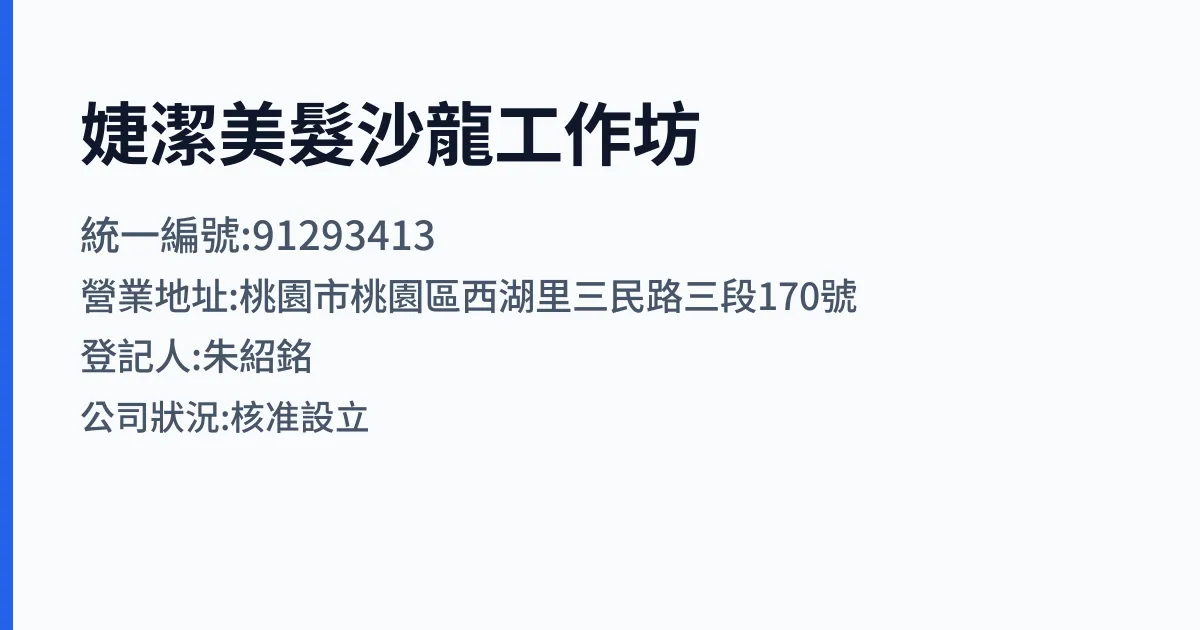 婕潔美髮沙龍工作坊 - 統編 91293413(桃園市) 公司登記資料與營業項目詳細圖表