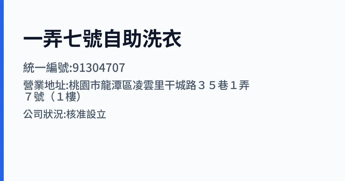 一弄七號自助洗衣 - 統編 91304707（桃園市） 公司登記資料與營業項目詳細圖表