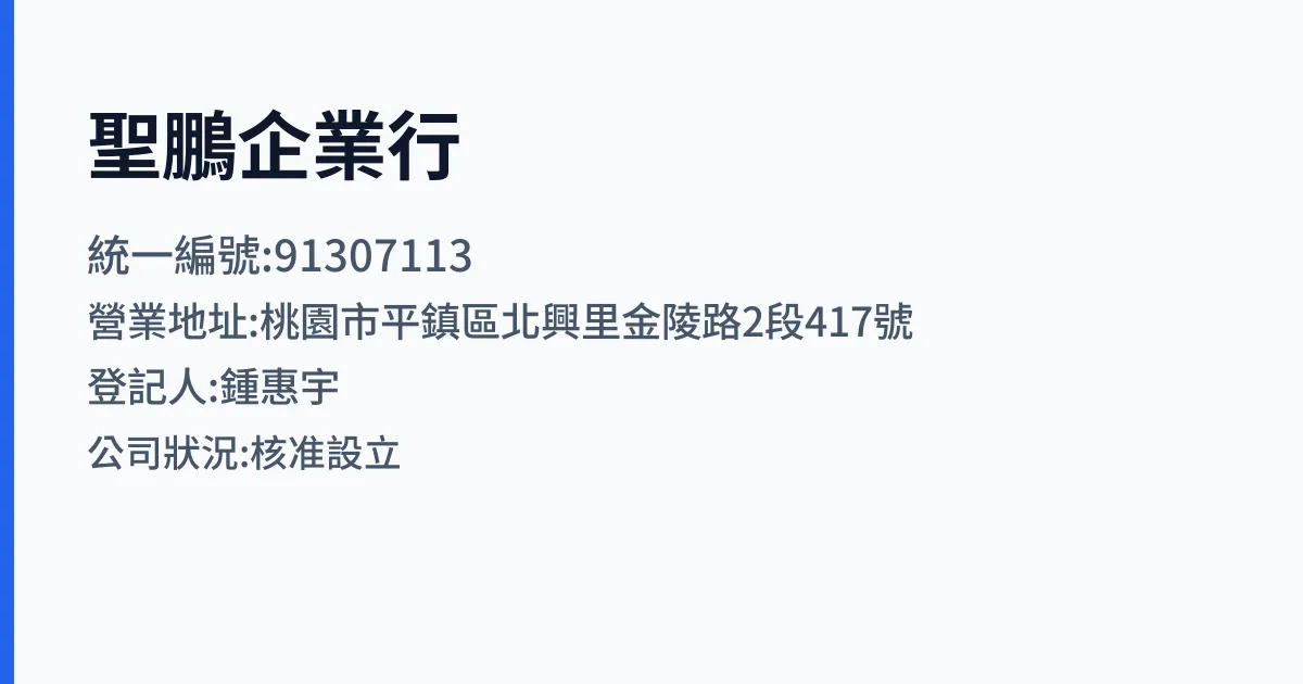 聖鵬企業行 - 統編 91307113 (桃園市) 公司登記資料與營業項目詳細圖表