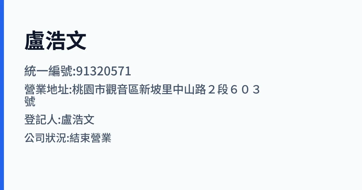 盧浩文 - 統編 91320571(桃園市) 公司登記資料與營業項目詳細圖表