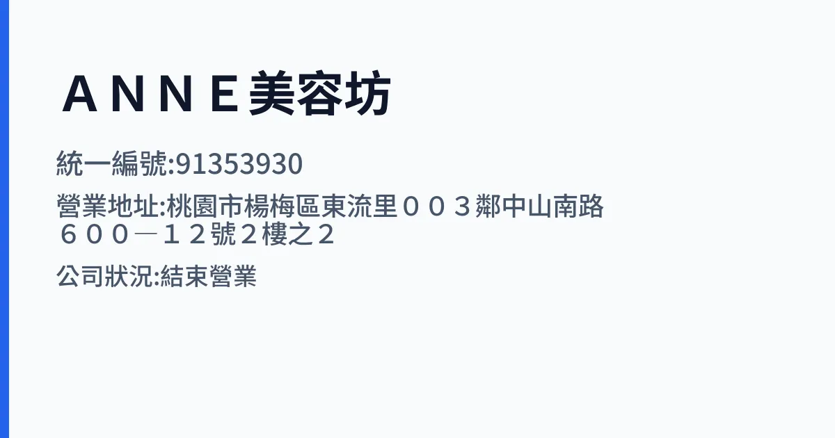 ANNE美容坊 - 統編 91353930(桃園市) 公司登記資料與營業項目詳細圖表
