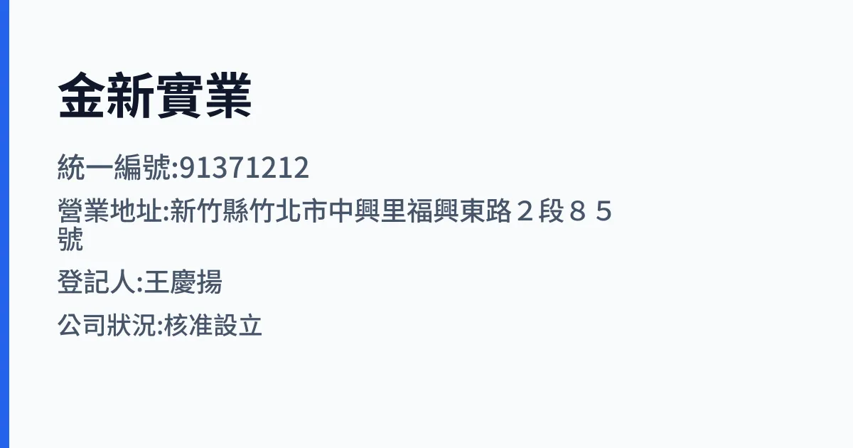金新實業 - 統編 91371212(新竹縣) 公司登記資料與營業項目詳細圖表