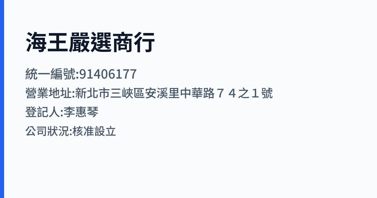 海王嚴選商行 - 統編 91406177(新北市) 公司登記資料與營業項目詳細圖表