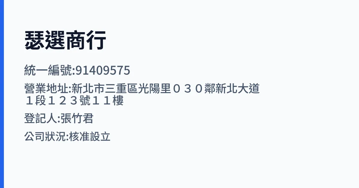 瑟選商行 - 統編 91409575(新北市) 公司登記資料與營業項目詳細圖表