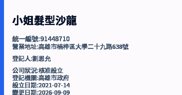 小姐髮型沙龍的照片-統編 91448710(高雄市) 公司登記資料與營業項目詳細圖表