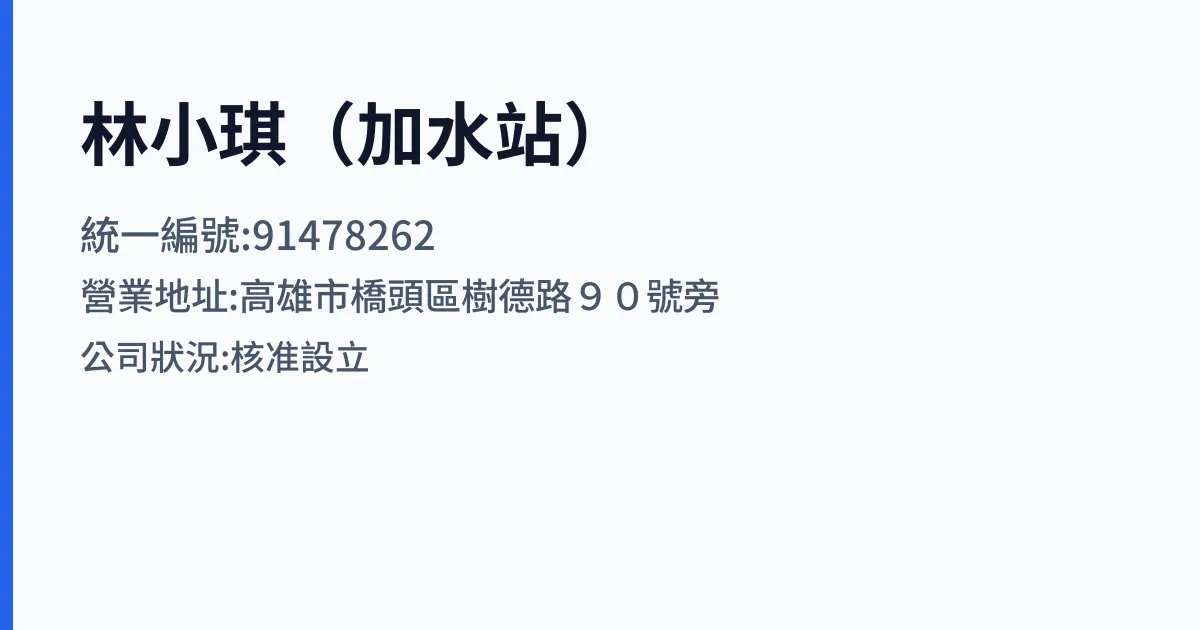 林小琪（加水站） - 統編 91478262(高雄市) 公司登記資料與營業項目詳細圖表