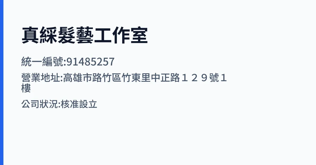 真綵髮藝工作室 - 統編 91485257(高雄市) 公司登記資料與營業項目詳細圖表