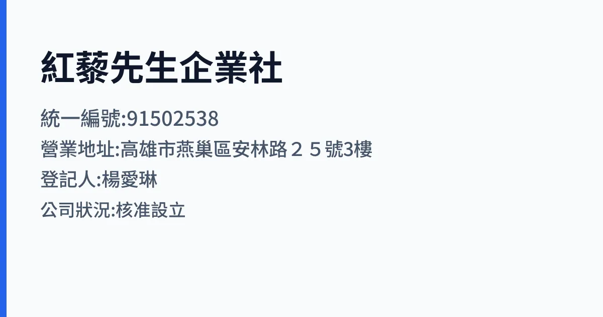 紅藜先生企業社 - 統編 91502538(高雄市) 公司登記資料與營業項目詳細圖表