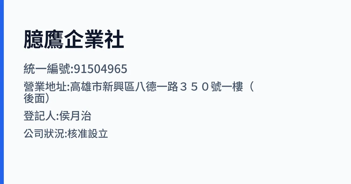 臆鷹企業社 - 統編 91504965(高雄市) 公司登記資料與營業項目詳細圖表