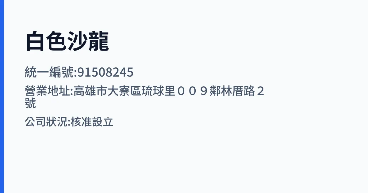 白色沙龍 - 統編 91508245(高雄市) 公司登記資料與營業項目詳細圖表