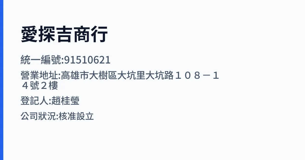 愛探吉商行 - 統編 91510621(高雄市) 公司登記資料與營業項目詳細圖表