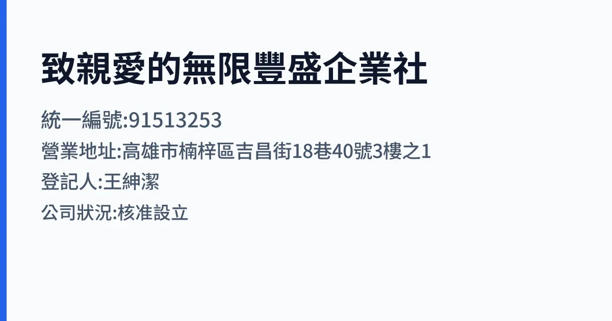 致親愛的無限豐盛企業社 - 統編 91513253(高雄市) 公司登記資料與營業項目詳細圖表