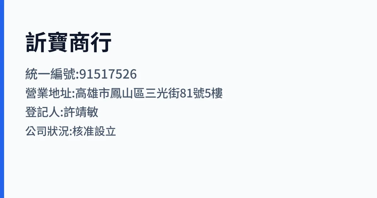 訢寶商行 - 統編 91517526(高雄市) 公司登記資料與營業項目詳細圖表