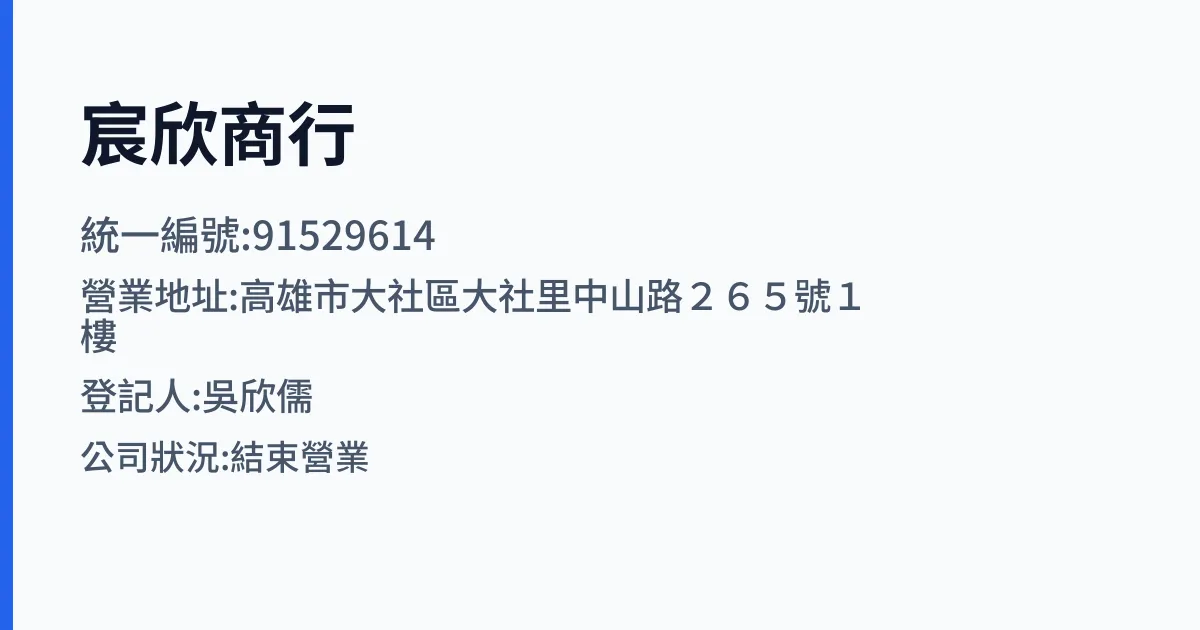 宸欣商行 - 統編 91529614(高雄市) 公司登記資料與營業項目詳細圖表