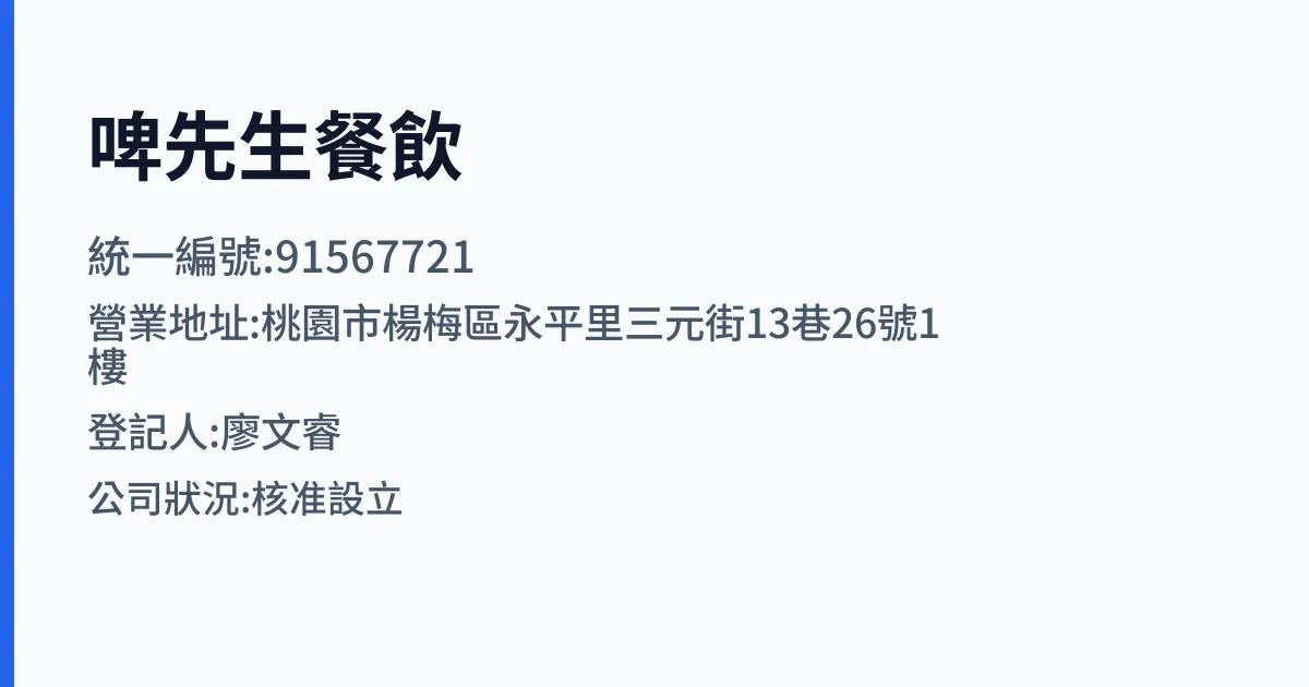 啤先生餐飲 - 統編 91567721(桃園市) 公司登記資料與營業項目詳細圖表