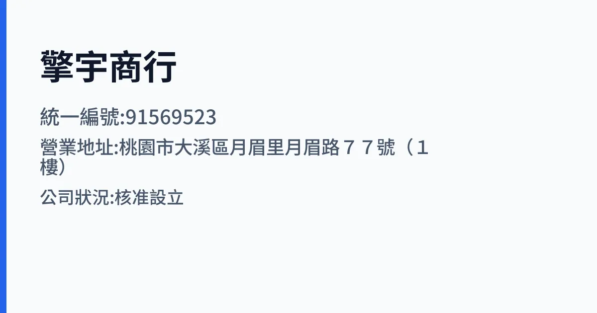 擎宇商行 - 統編 91569523(桃園市) 公司登記資料與營業項目詳細圖表