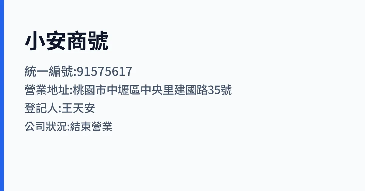 小安商號 - 統編 91575617(桃園市) 公司登記資料與營業項目詳細圖表