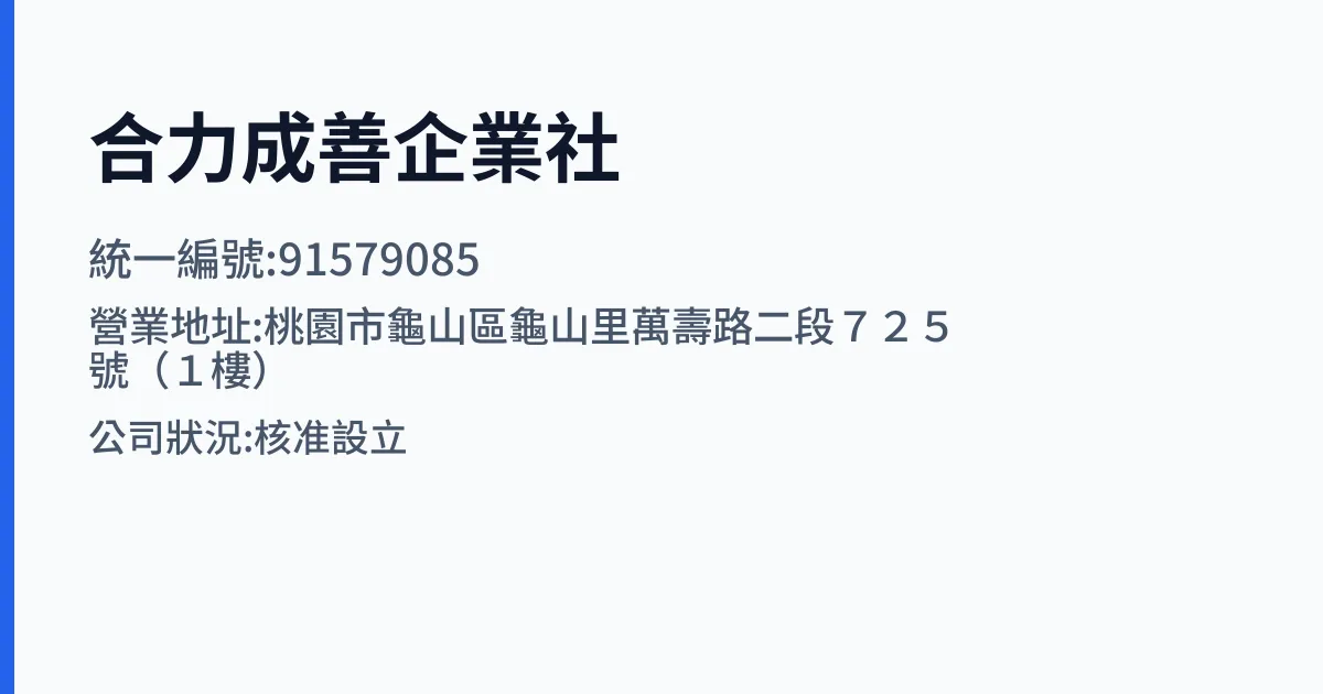 合力成善企業社 - 統編 91579085(桃園市) 公司登記資料與營業項目詳細圖表