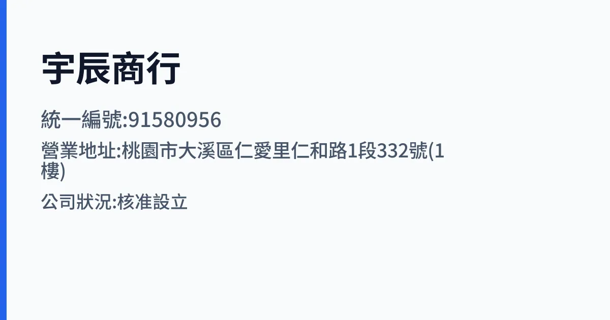 宇辰商行 - 統編 91580956(桃園市) 公司登記資料與營業項目詳細圖表