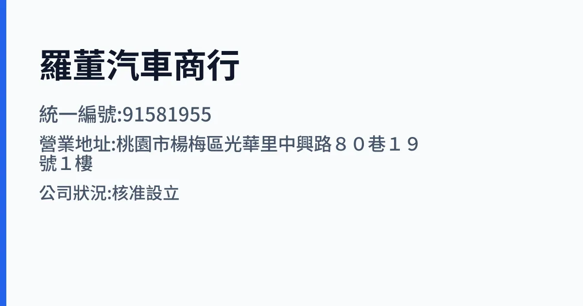 羅董汽車商行 - 統編 91581955（桃園市） 公司登記資料與營業項目詳細圖表