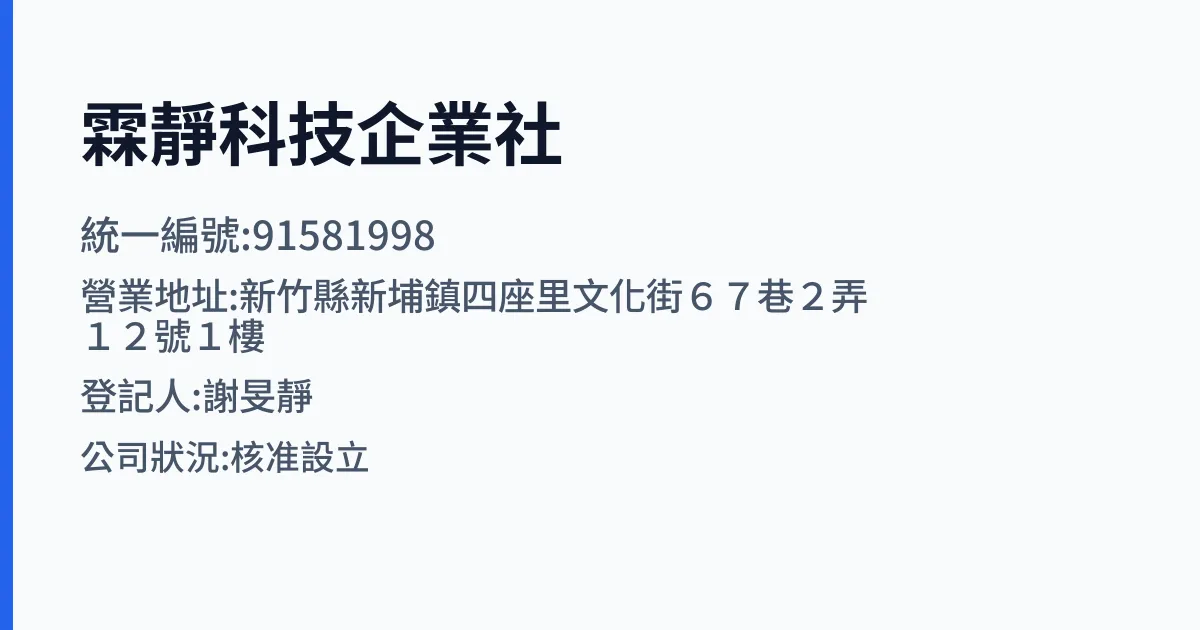 霖靜科技企業社 - 統編 91581998(桃園市) 公司登記資料與營業項目詳細圖表