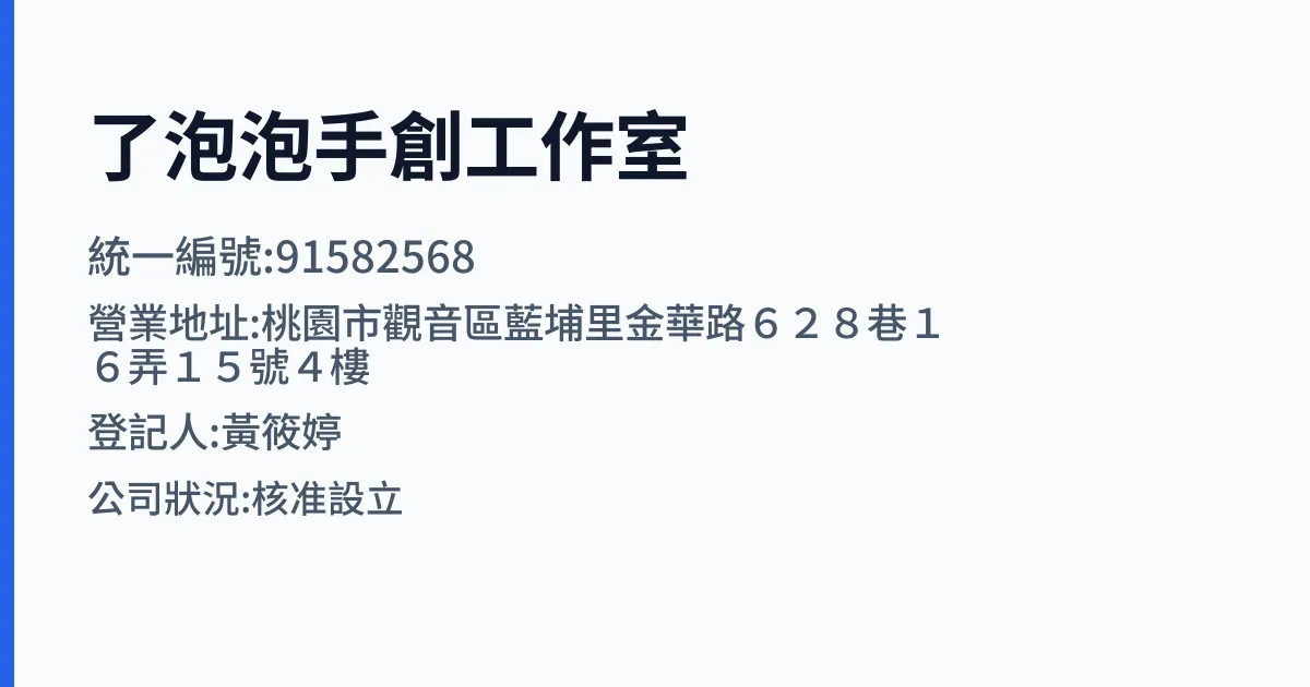 了泡泡手創工作室 - 統編 91582568(桃園市) 公司登記資料與營業項目詳細圖表