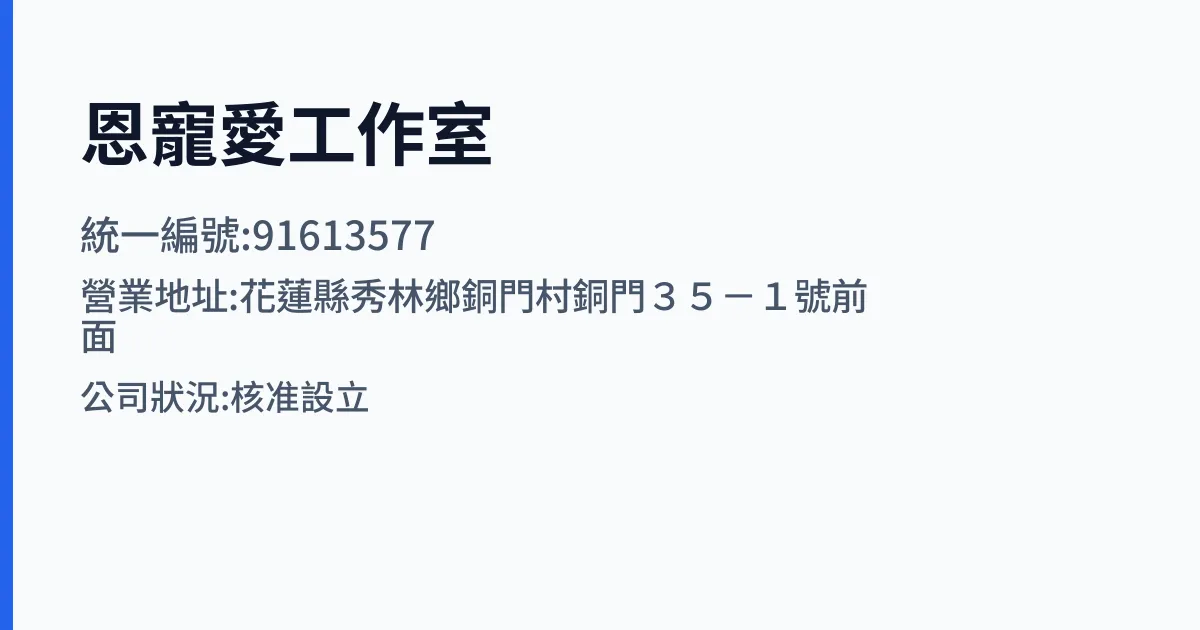 恩寵愛工作室 - 統編 91613577（花蓮縣） 公司登記資料與營業項目詳細圖表