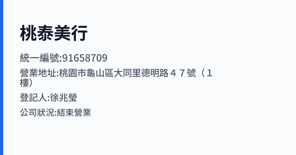桃泰美行 - 統編 91658709(桃園市) 公司登記資料與營業項目詳細圖表