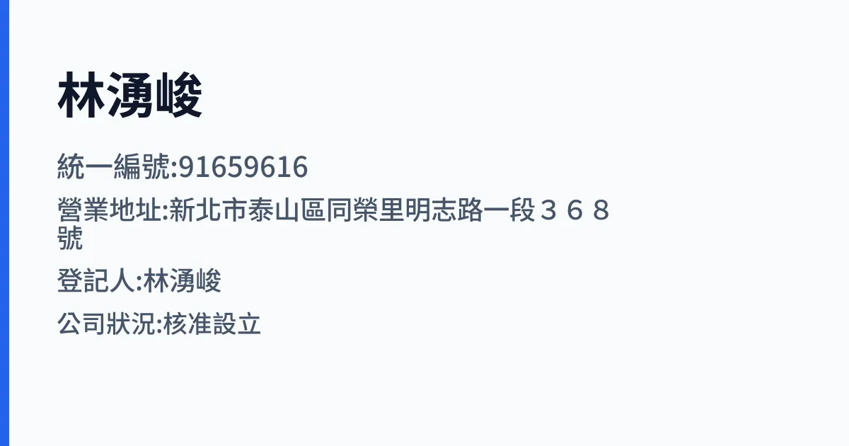 林湧峻 - 統編 91659616(新北市) 公司登記資料與營業項目詳細圖表