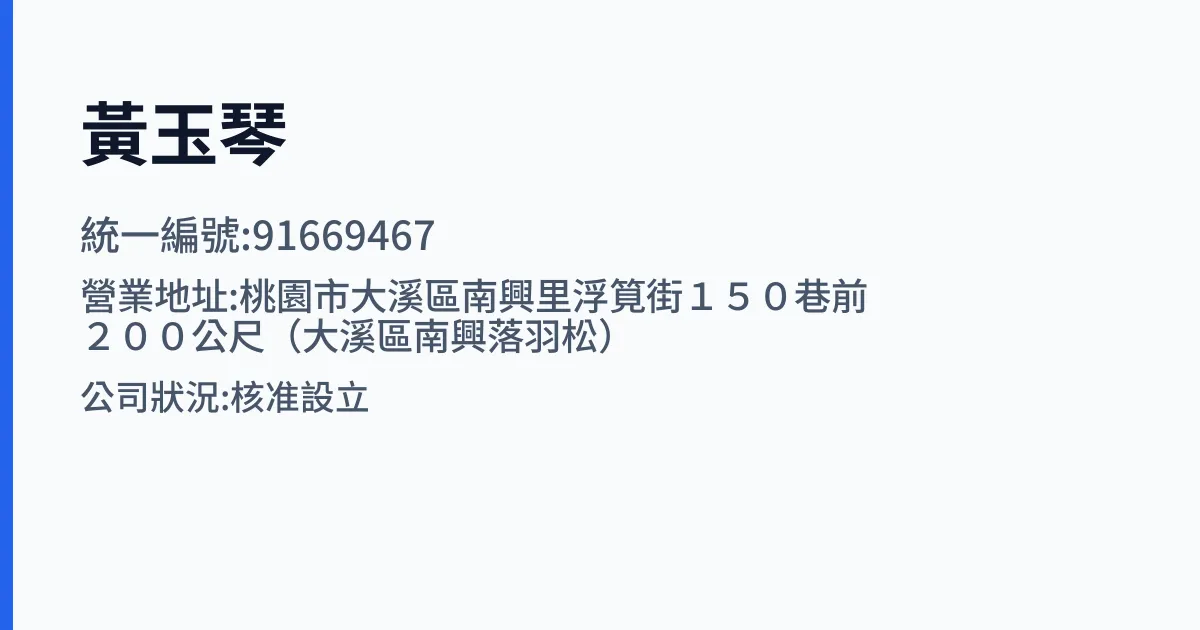 黃玉琴 - 統編 91669467（桃園市） 公司登記資料與營業項目詳細圖表