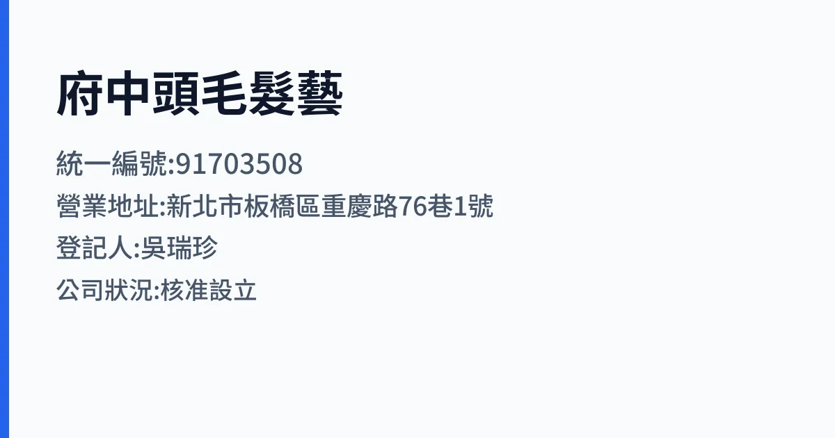 府中頭毛髮藝 - 統編 91703508(新北市) 公司登記資料與營業項目詳細圖表