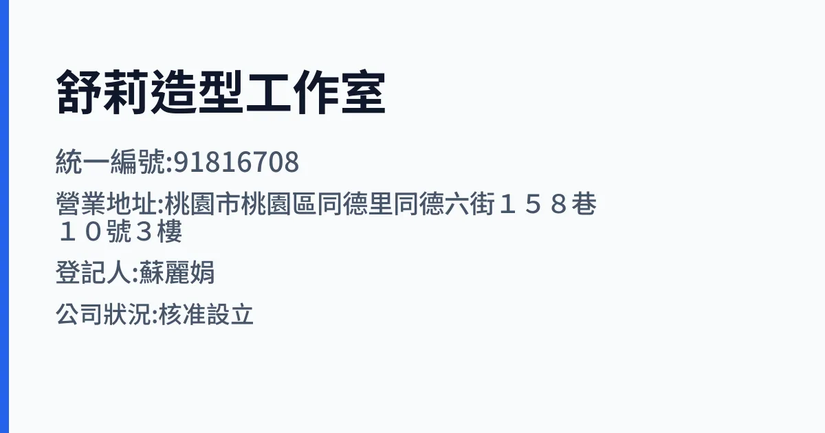 舒莉造型工作室 - 統編 91816708(桃園市) 公司登記資料與營業項目詳細圖表