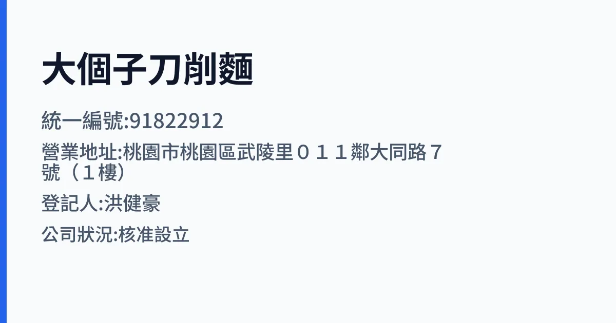 大個子刀削麵 - 統編 91822912(桃園市) 公司登記資料與營業項目詳細圖表