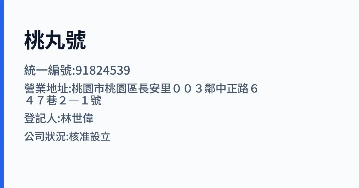 桃丸號 - 統編 91824539(桃園市) 公司登記資料與營業項目詳細圖表