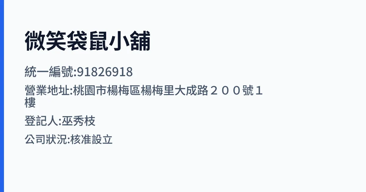 微笑袋鼠小舖 - 統編 91826918(桃園市) 公司登記資料與營業項目詳細圖表