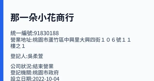 那一朵小花商行的照片-統編 91830188(桃園市) 公司登記資料與營業項目詳細圖表