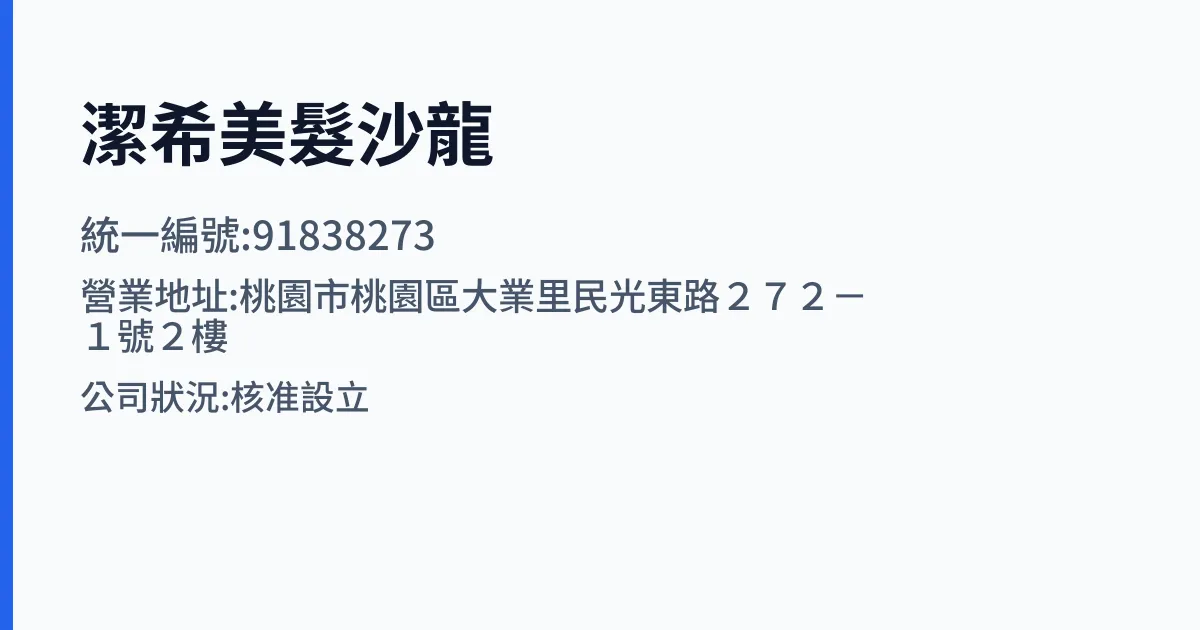 潔希美髮沙龍 - 統編 91838273(桃園市) 公司登記資料與營業項目詳細圖表